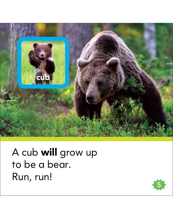 Nonfiction Sight Word Readers Classroom Tub Level C by Liza Charlesworth