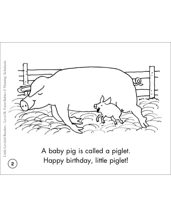 Little Leveled Readers: Level B Box Set by