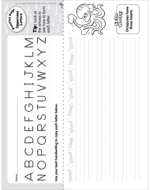 Handwriting Practice: Wacky Facts by Violet Findley