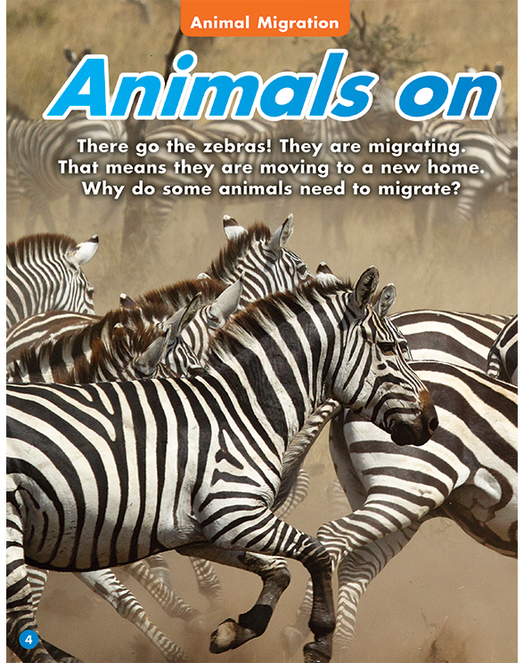 Scholastic News Science Reader: Amazing Animals by