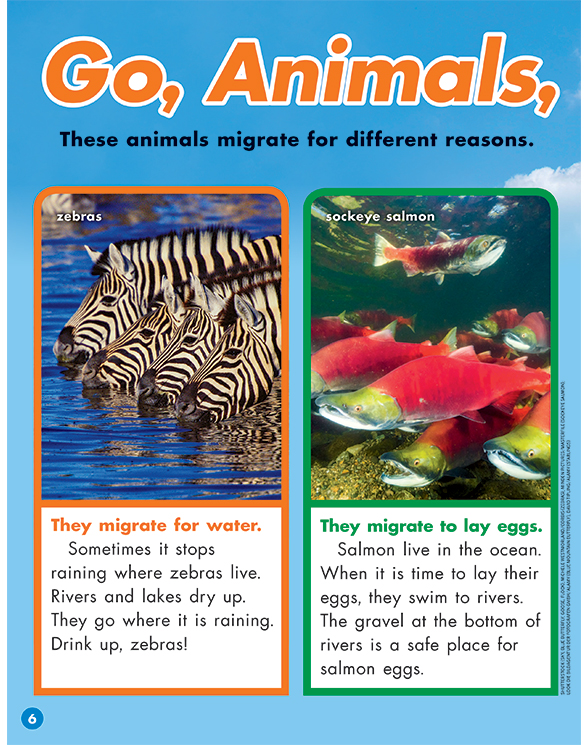 Scholastic News Science Reader: Amazing Animals by