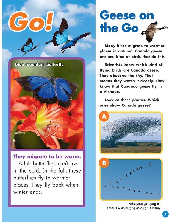 Scholastic News Science Reader: Amazing Animals by