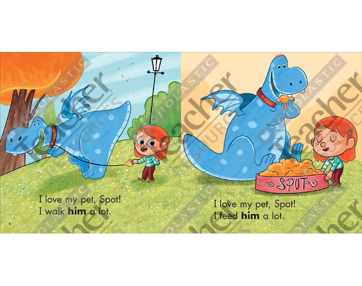 Sight Word Stories: Level C (Parent Pack) by Liza Charlesworth