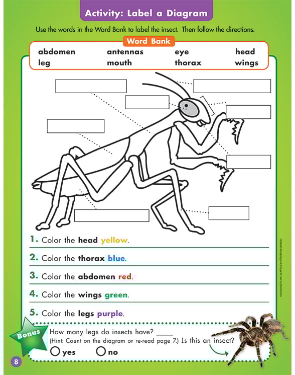 Scholastic News Science Reader: Amazing Animals by