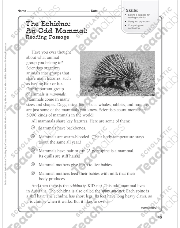 The Echidna, An Odd Mammal (Informational Article): Differentiated ...
