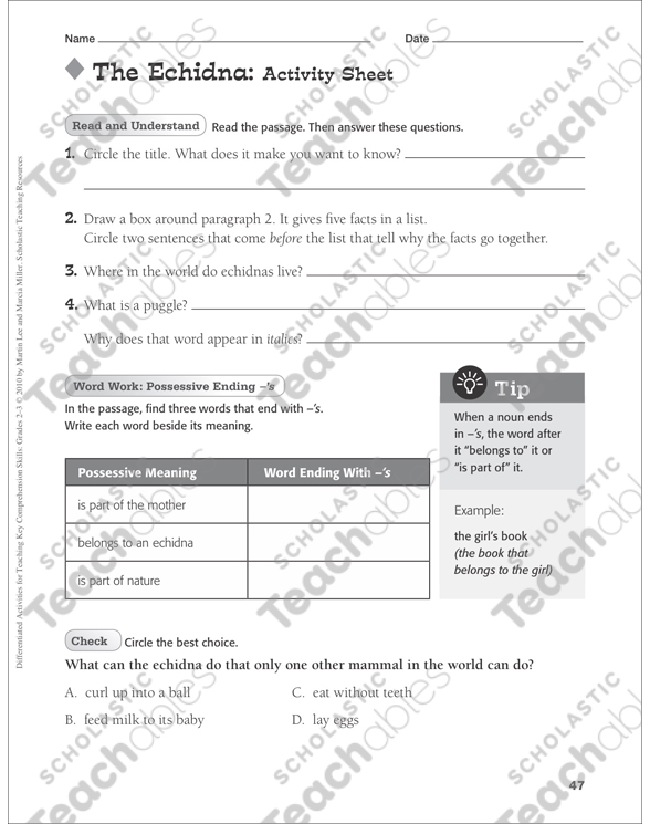 The Echidna, An Odd Mammal (Informational Article): Differentiated ...