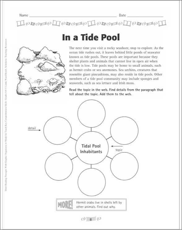 Short Reading Passages With Graphic Organizers to Model and Teach Key ...
